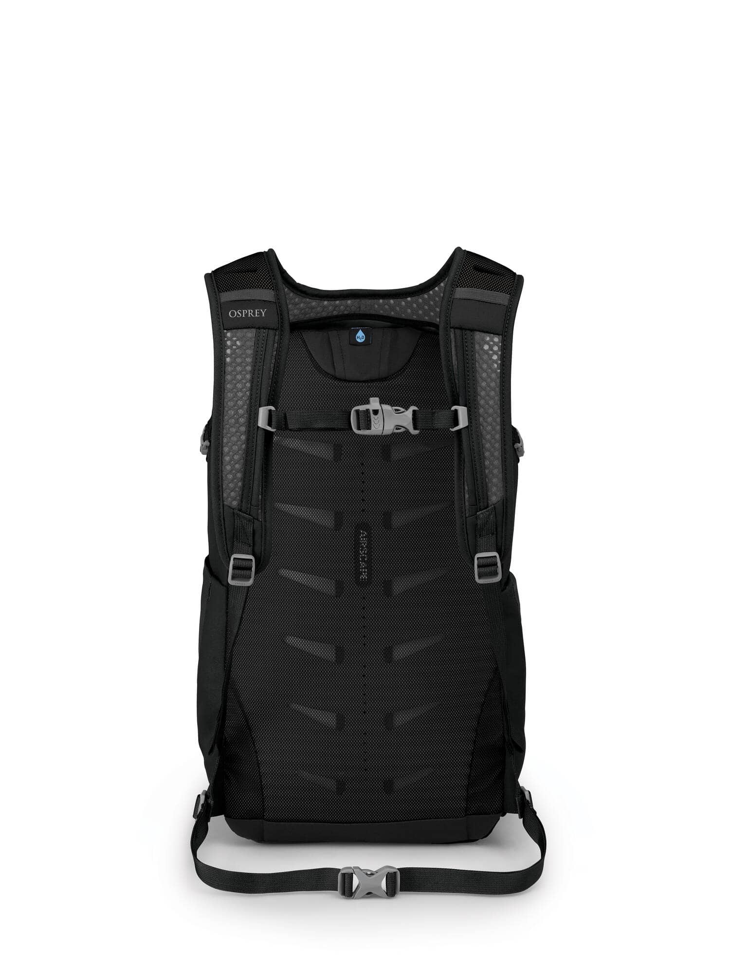 Osprey Daylite Plus Daypack im Camp4 kaufen