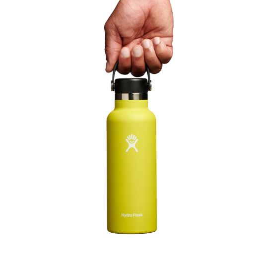 Hydro Flask Hydro 18Oz Standard Mouth Cactus Isolierflasche im Camp4 kaufen